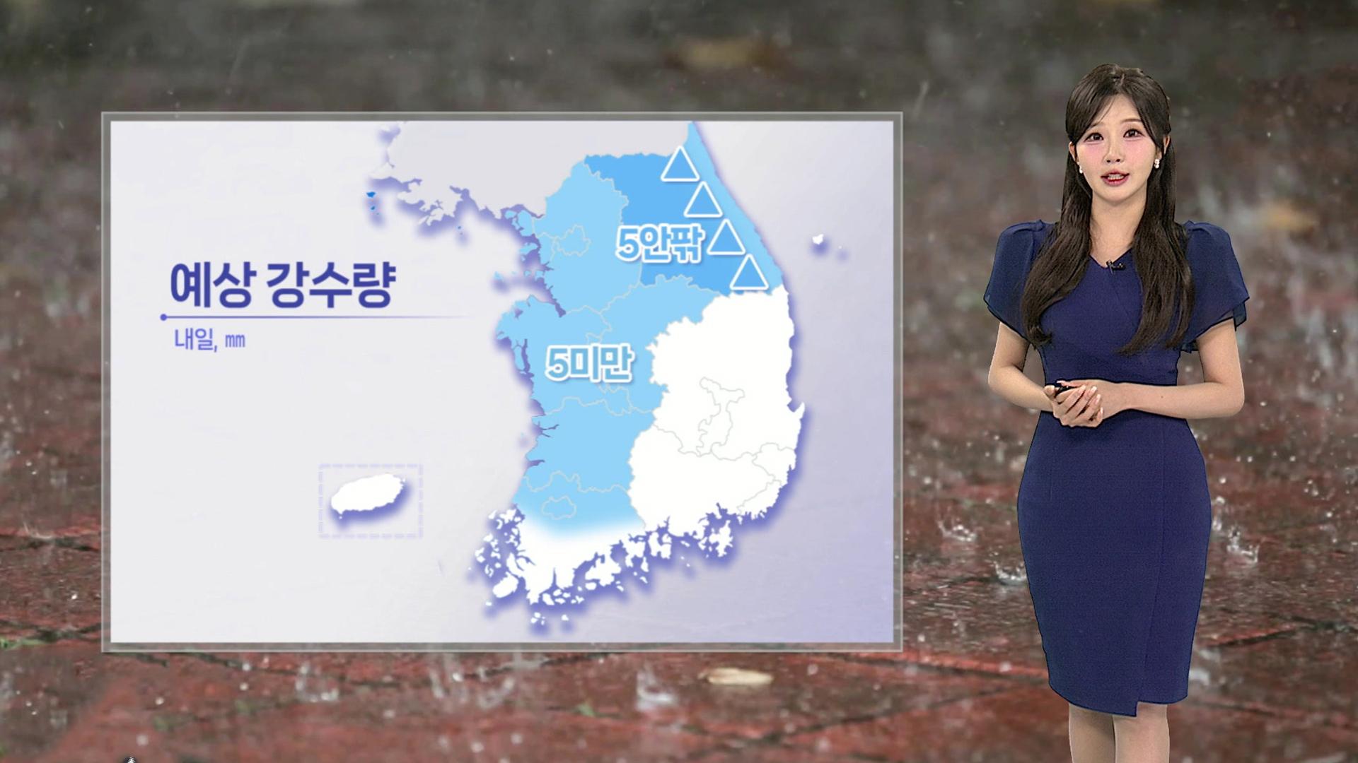 연합뉴스TV